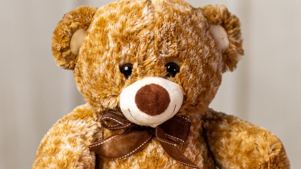 Fun Facts -The Healing Power of Teddy Bears – Plush in a Rush